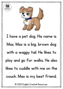 Reading Practice Pet Animals – English Created Resources