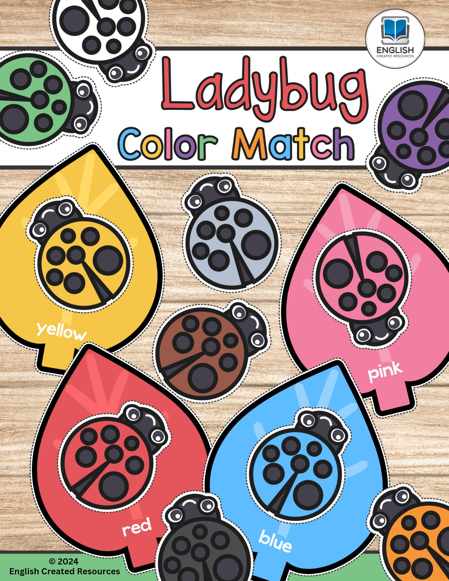 Ladybug Color Match – English Created Resources