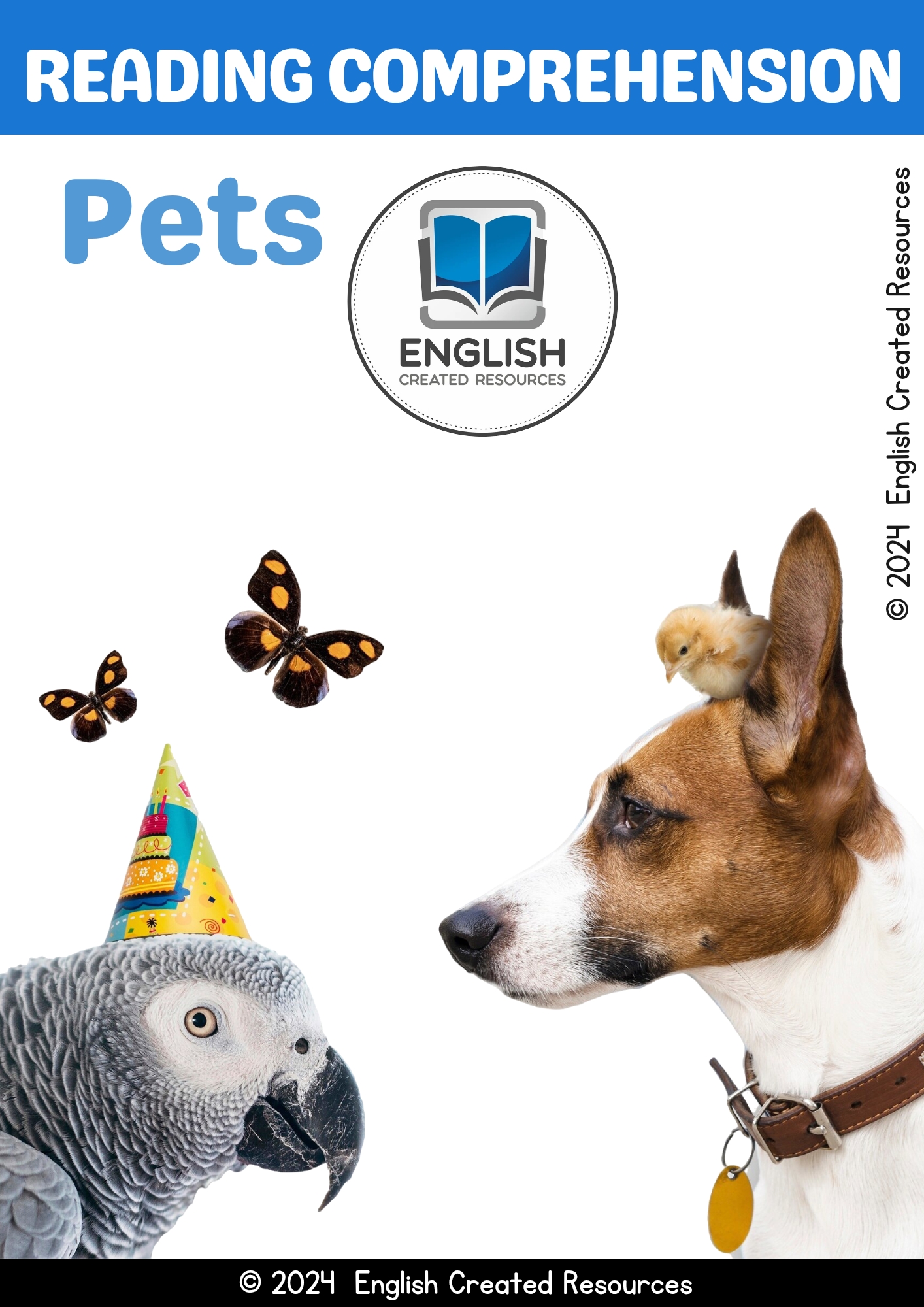 Reading Comprehension Pets – English Created Resources