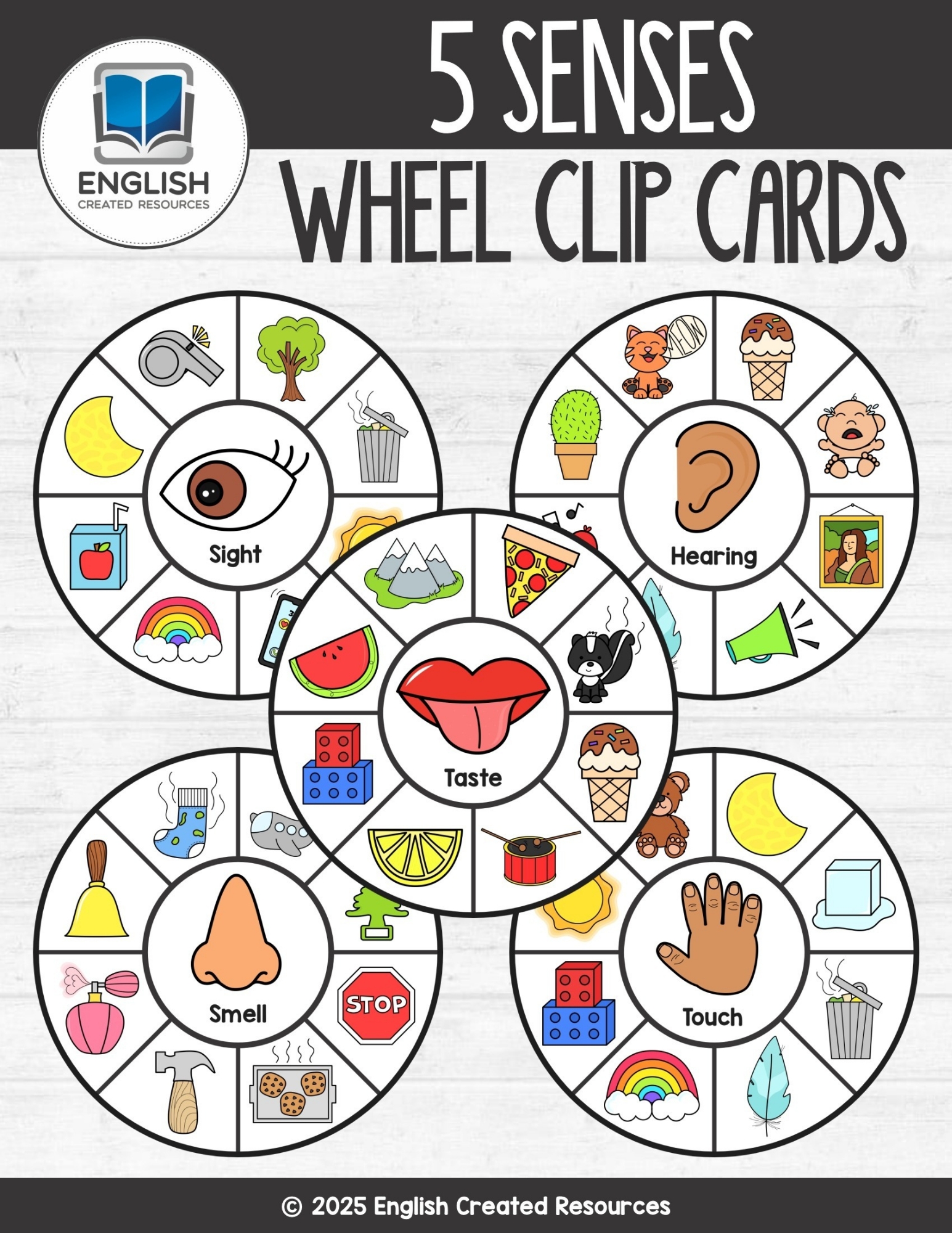 5 Senses Wheel Clip Cards – English Created Resources