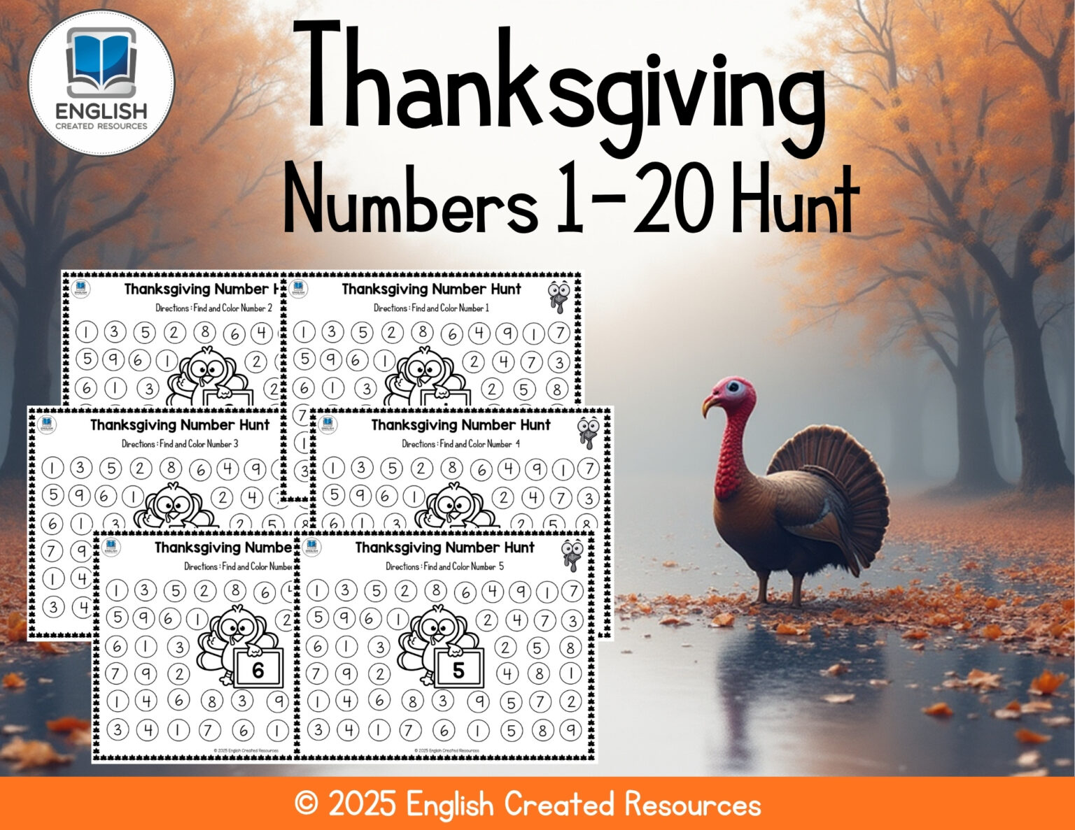Thanksgiving Number Hunt – English Created Resources