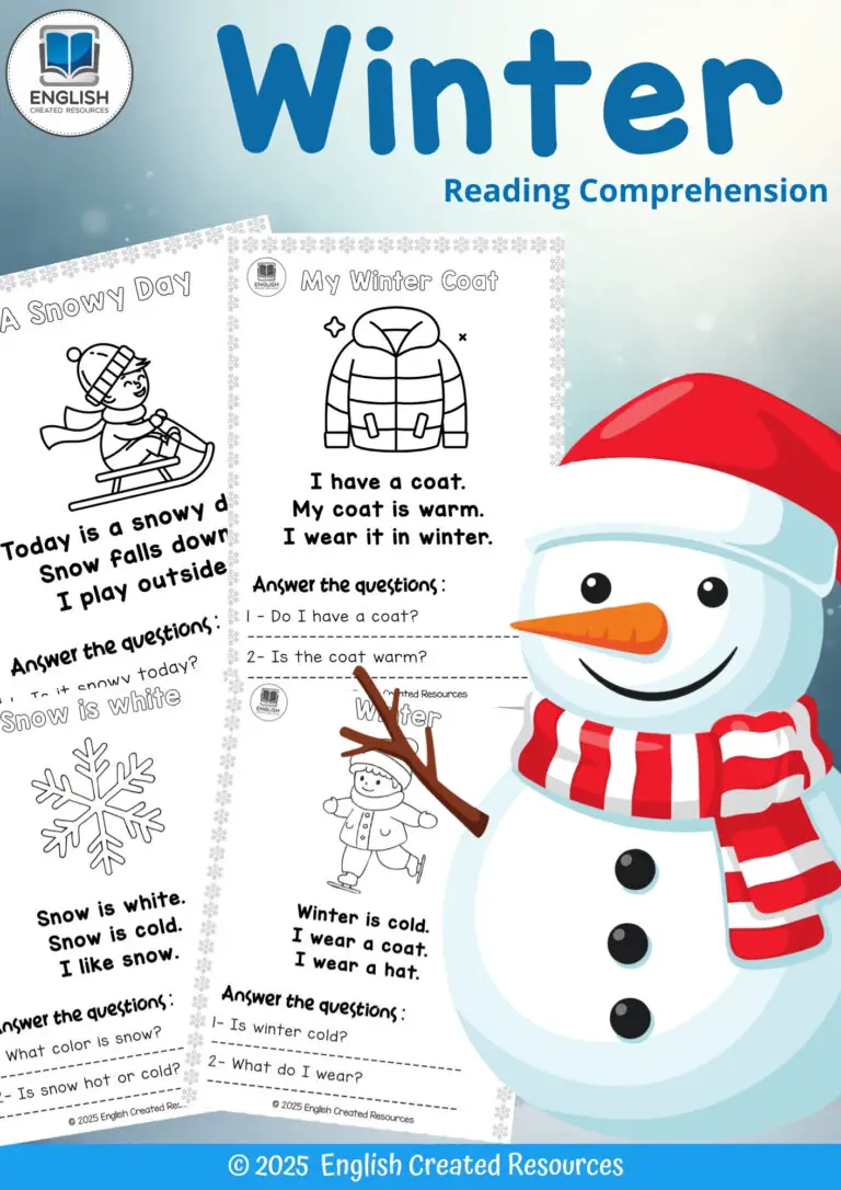 Winter Reading Comprehension – English Created Resources